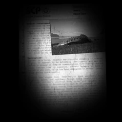 SCP-682 | SCP: Nine-Tailed Fox Wiki | Fandom