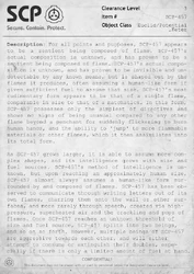 SCP-457 | SCP: Nine-Tailed Fox Wiki | Fandom