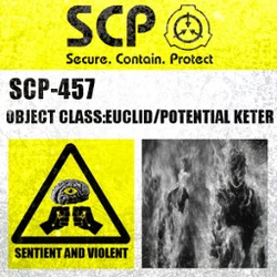 SCP-457 | SCP: Nine-Tailed Fox Wiki | Fandom