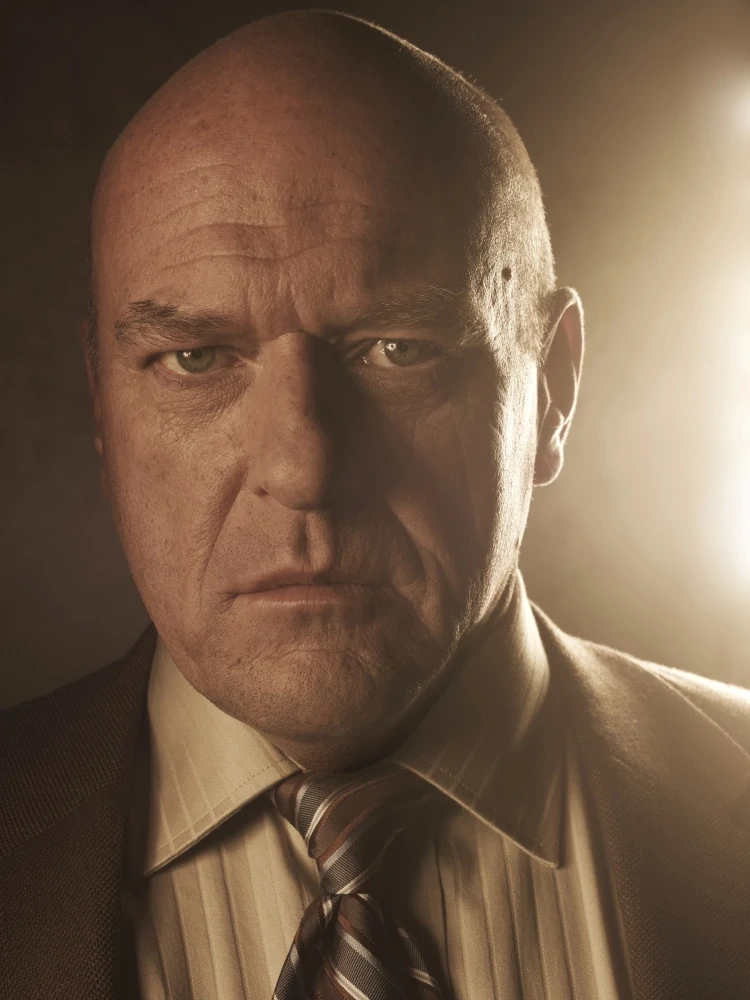 Hank Schrader | Nubert 195 Wiki | Fandom