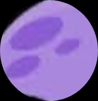 Planeta moy | Fanon Wiki | Fandom