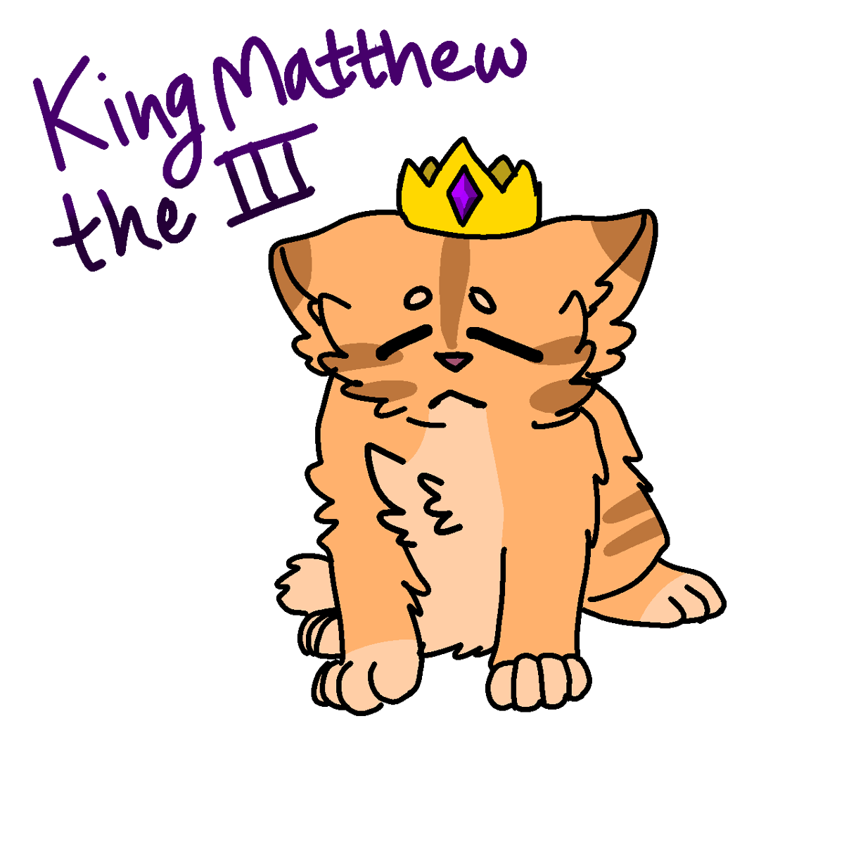 King Matthew the third | Null moon Wiki | Fandom