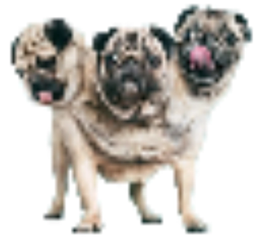 Home Invader | Nullpoint Wiki | Fandom