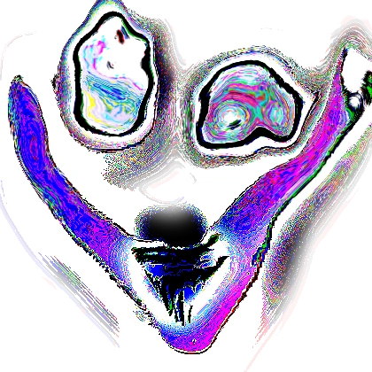 TheGas | Nullpoint Wiki | Fandom