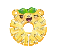 Pippa Pineapple | Num Noms Wikia | Fandom