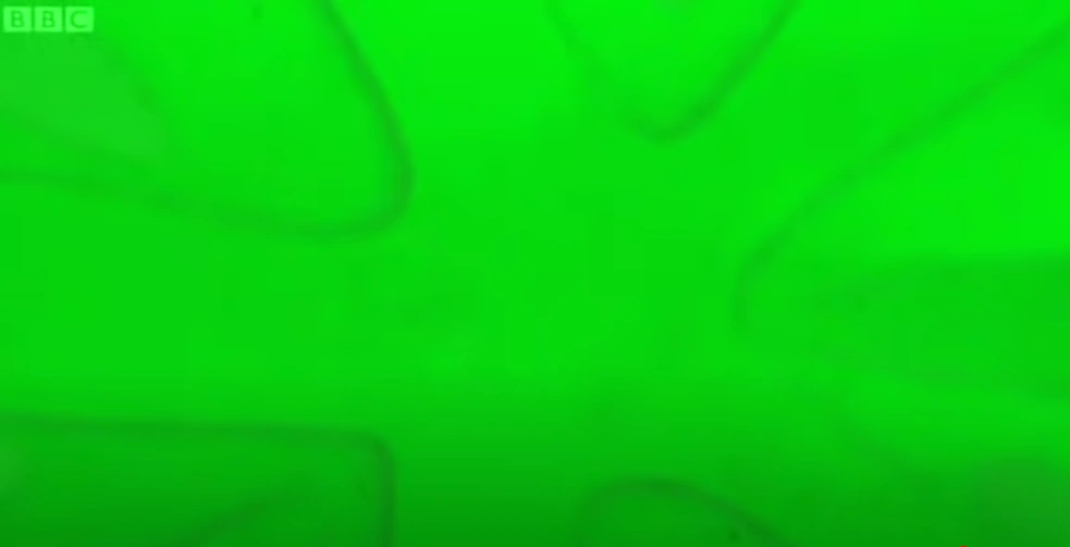 The Cat Sat on the Mat/Gallery | Numberblocks Wiki | Fandom