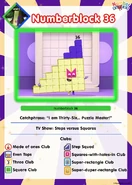 Thirty-Six/Gallery | Numberblocks Wiki | Fandom