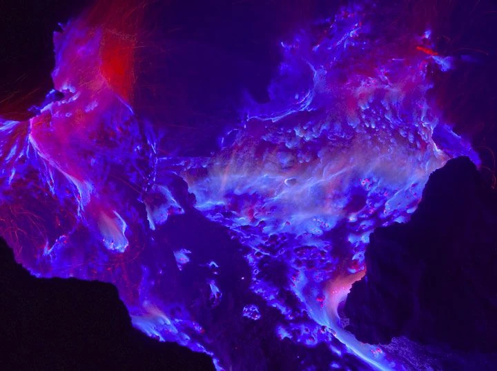 2369 | NUM Wiki | Fandom