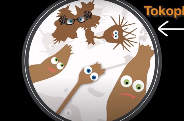 Bacteria | Numberjacks Reboot! Wiki | Fandom