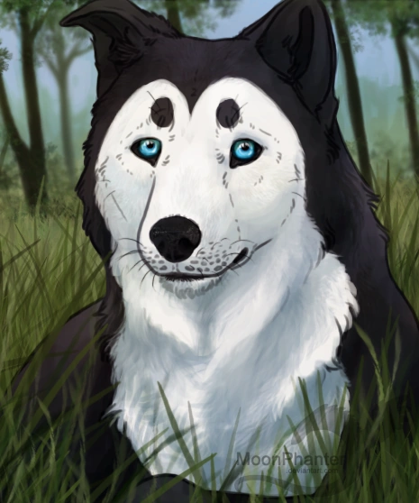 Wulfric | Numoori Wiki | Fandom