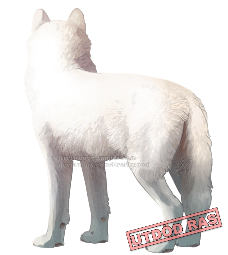 Vitvarg | Numoori Wiki | Fandom