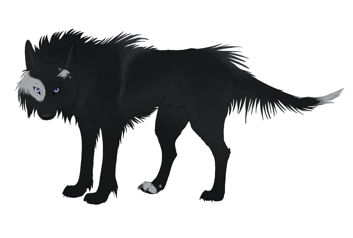 Mortimer | Numoori Wiki | Fandom