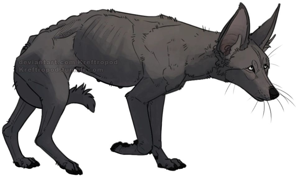 Unnown | Numoori Wiki | Fandom