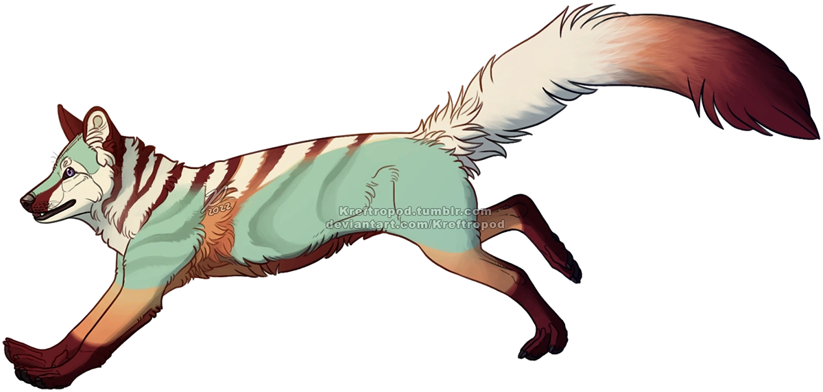 Naktaki | Numoori Wiki | Fandom