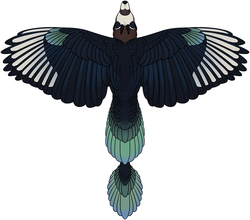 Hilleri | Numoori Wiki | Fandom