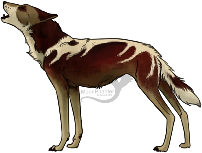 Ghadam | Numoori Wiki | Fandom