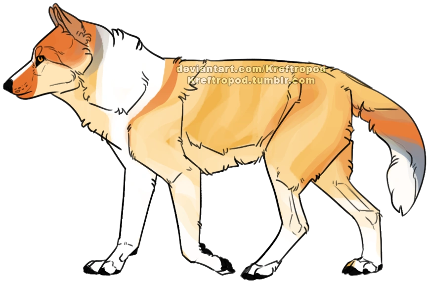 Bayle (NPC) | Numoori Wiki | Fandom