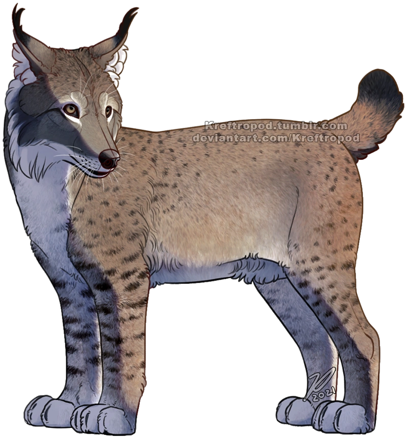 Aderon | Numoori Wiki | Fandom