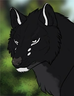 Corson | Numoori Wiki | Fandom