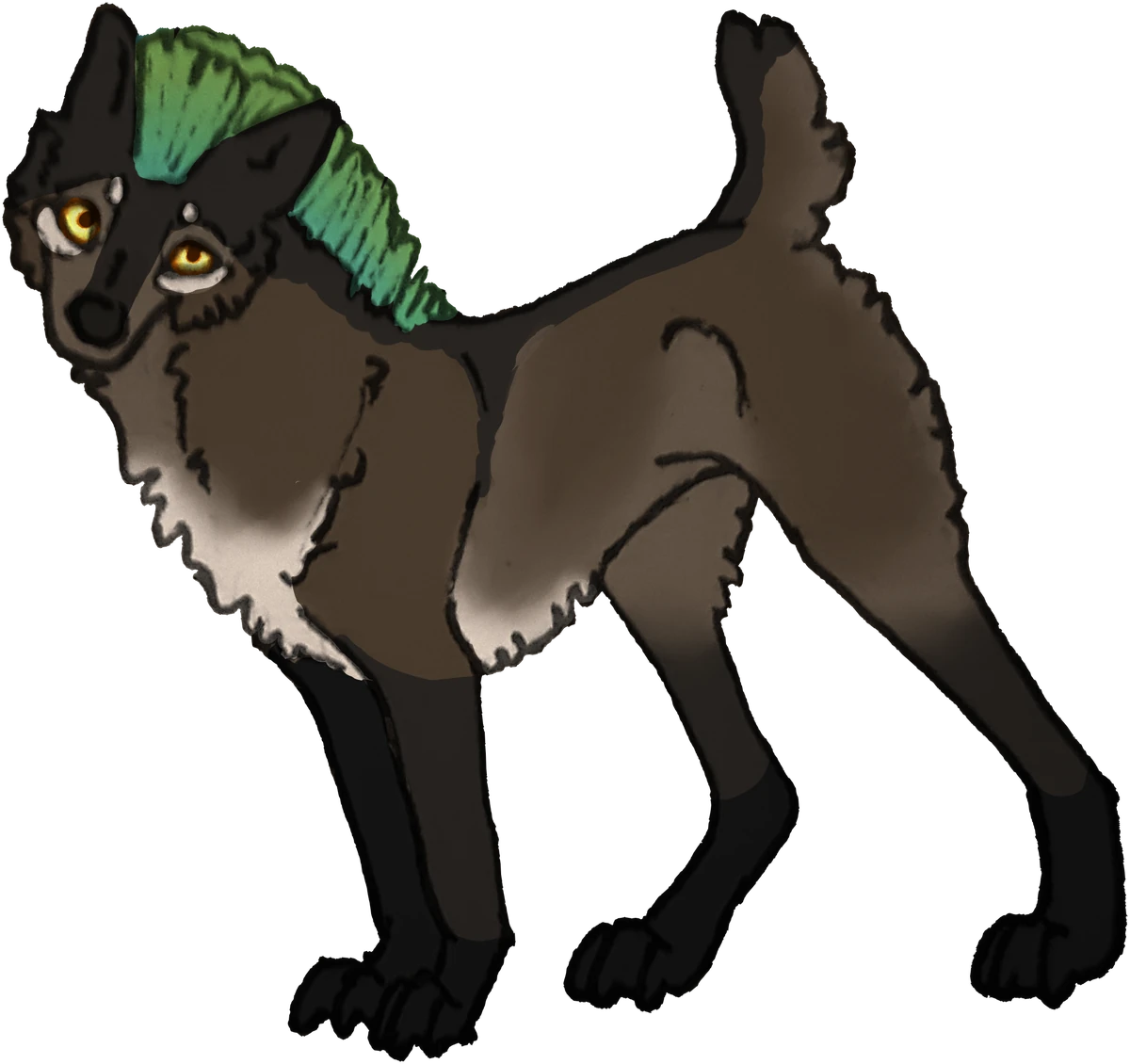 Achak | Numoori Wiki | Fandom