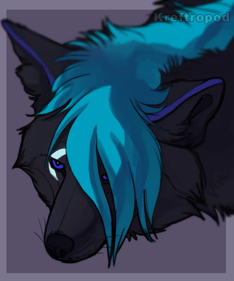 Meilyr | Numoori Wiki | Fandom