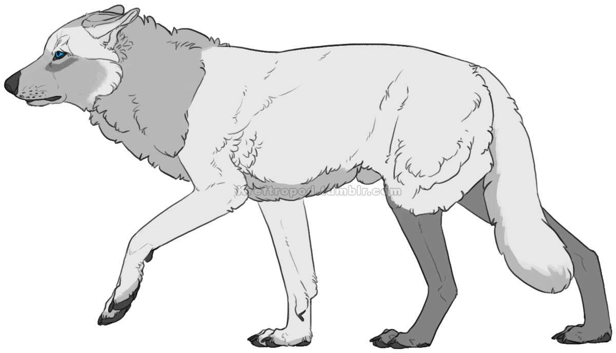 Valkyrian | Numoori Wiki | Fandom