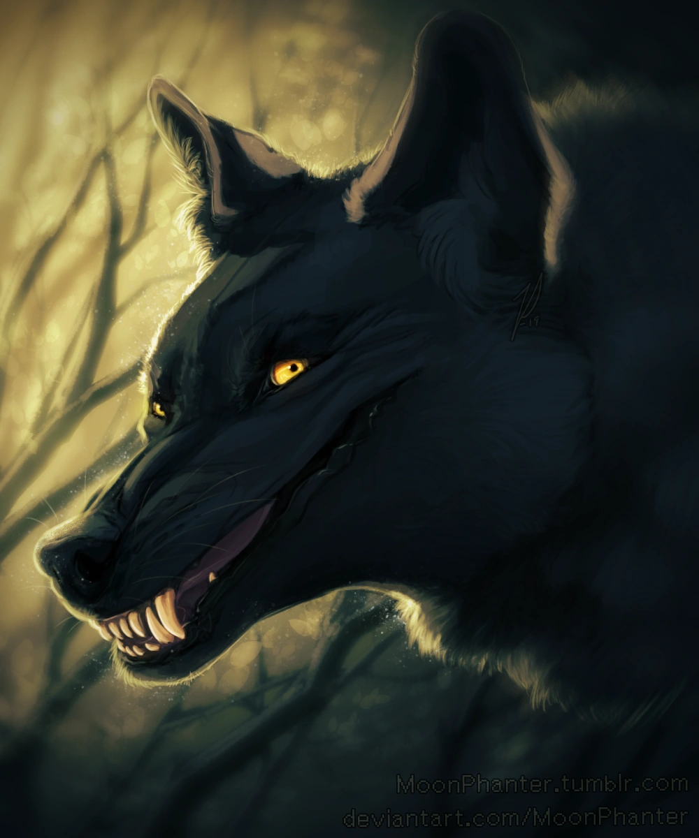 Laali | Numoori Wiki | Fandom