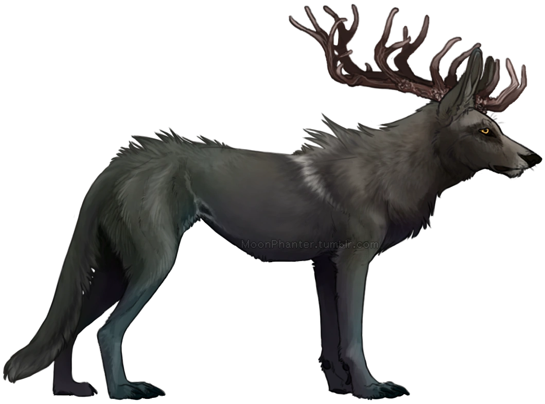 Ragana | Numoori Wiki | Fandom