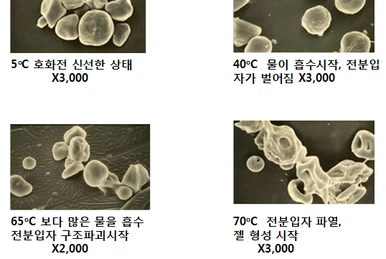 아밀로스 구조 Effects Of CMC Starch Mixing Ratio And Ethanol
