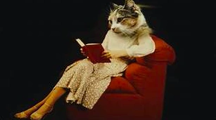 Kings. 🤧 | Nutri's bonanza Wiki | Fandom