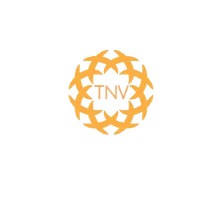 Turkish PopStar | NVSC Wiki | Fandom