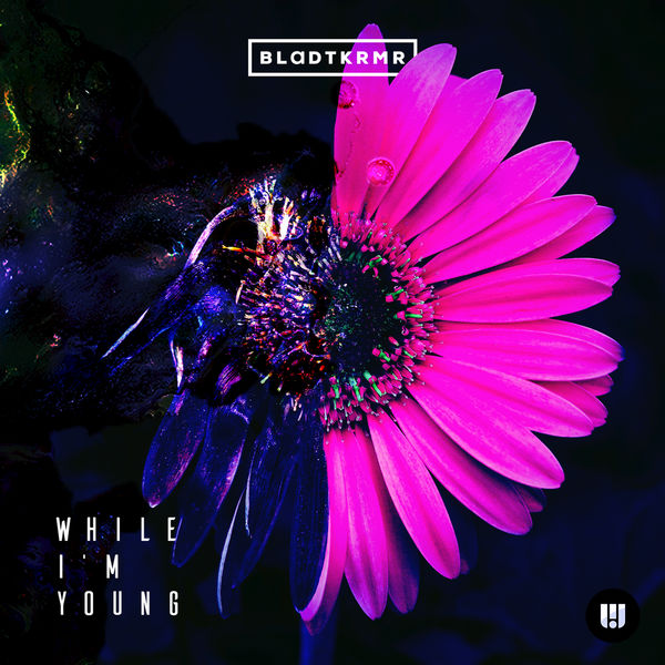 Category:NVSC 25 songs | NVSC Wiki | Fandom