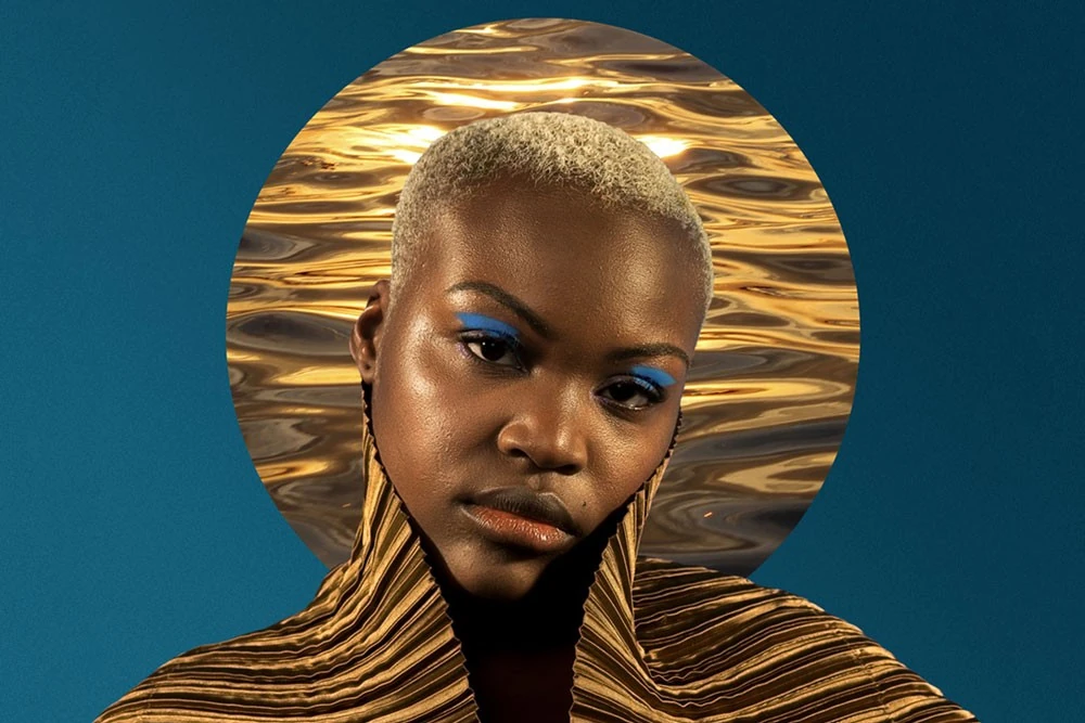 Pongo | NVSC Wiki | Fandom