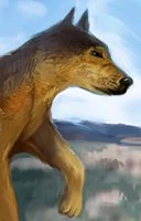 Dog | NWNWiki | Fandom