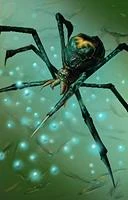 Aranea | NWNWiki | Fandom