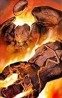 Earth elemental form | NWNWiki | Fandom