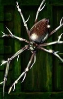 Sword spider | NWNWiki | Fandom