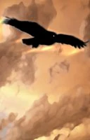 Hawk | NWNWiki | Fandom