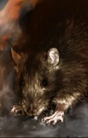 Rat | NWNWiki | Fandom
