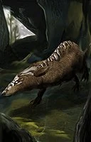 Dire rat | NWNWiki | Fandom