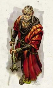 Red Wizard of Thay | NWN2: Realms of Trinity Wiki | Fandom