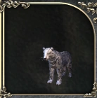 Greater snow leopard | NWN2Wiki | Fandom