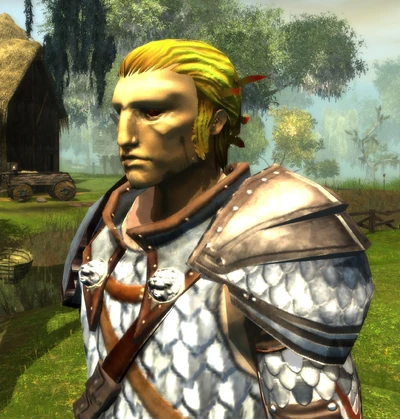 Earth Genasi | NWN2Wiki | Fandom