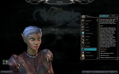 Appearance | NWN2Wiki | Fandom