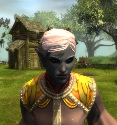 Drow - NWN2Wiki, the Neverwinter Nights 2 wiki - Races, classes, skills, and more