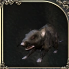 Fiendish dire rat | NWN2Wiki | Fandom