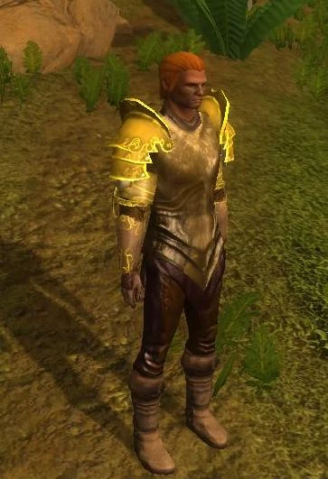Gilded Armor | NWN2Wiki | Fandom