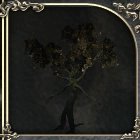 Blightspawned treant | NWN2Wiki | Fandom