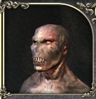 Shadow Ghast | NWN2Wiki | Fandom