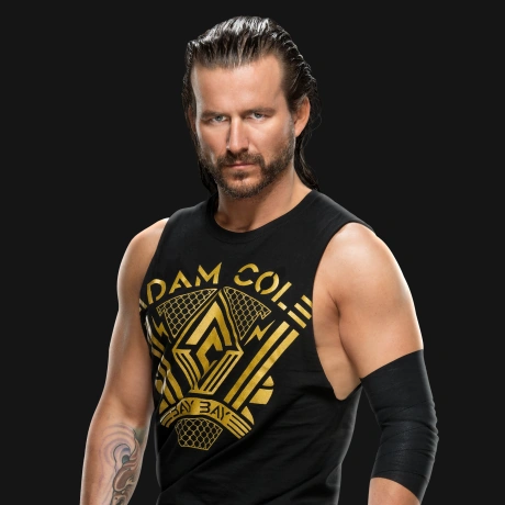 Alumni | NXT vs SMACKDOWN Wiki | Fandom